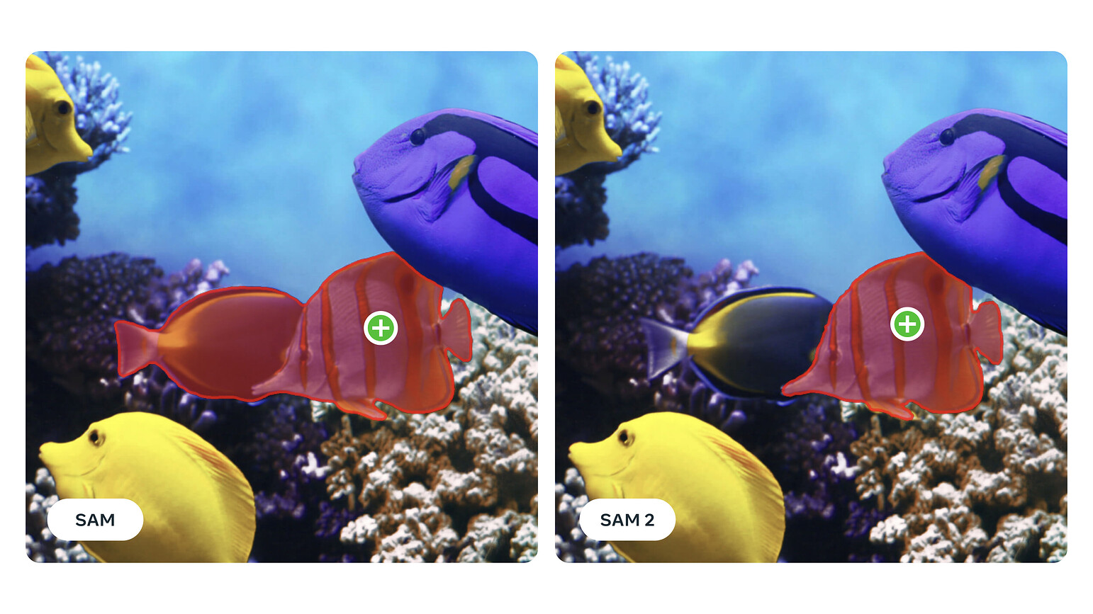 SAM2: 이미지와 비디오 모두에 적용 가능한 Segment Anything Model (feat. Meta) - 읽을거리&정보 ...